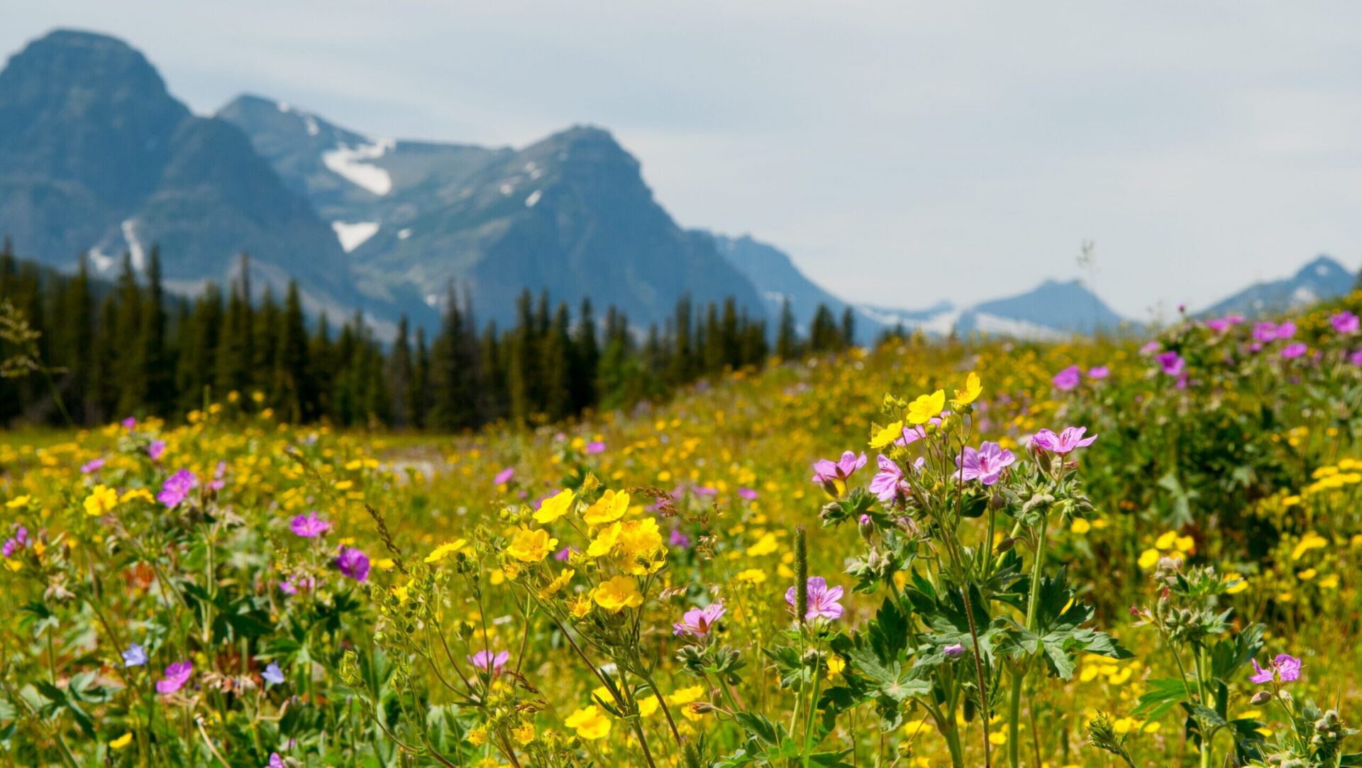 19 best national parks to visit in spring - FamilyVacationist