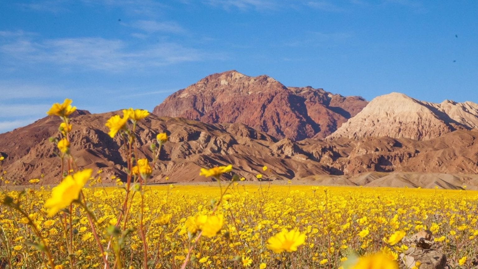 19 best national parks to visit in spring - FamilyVacationist