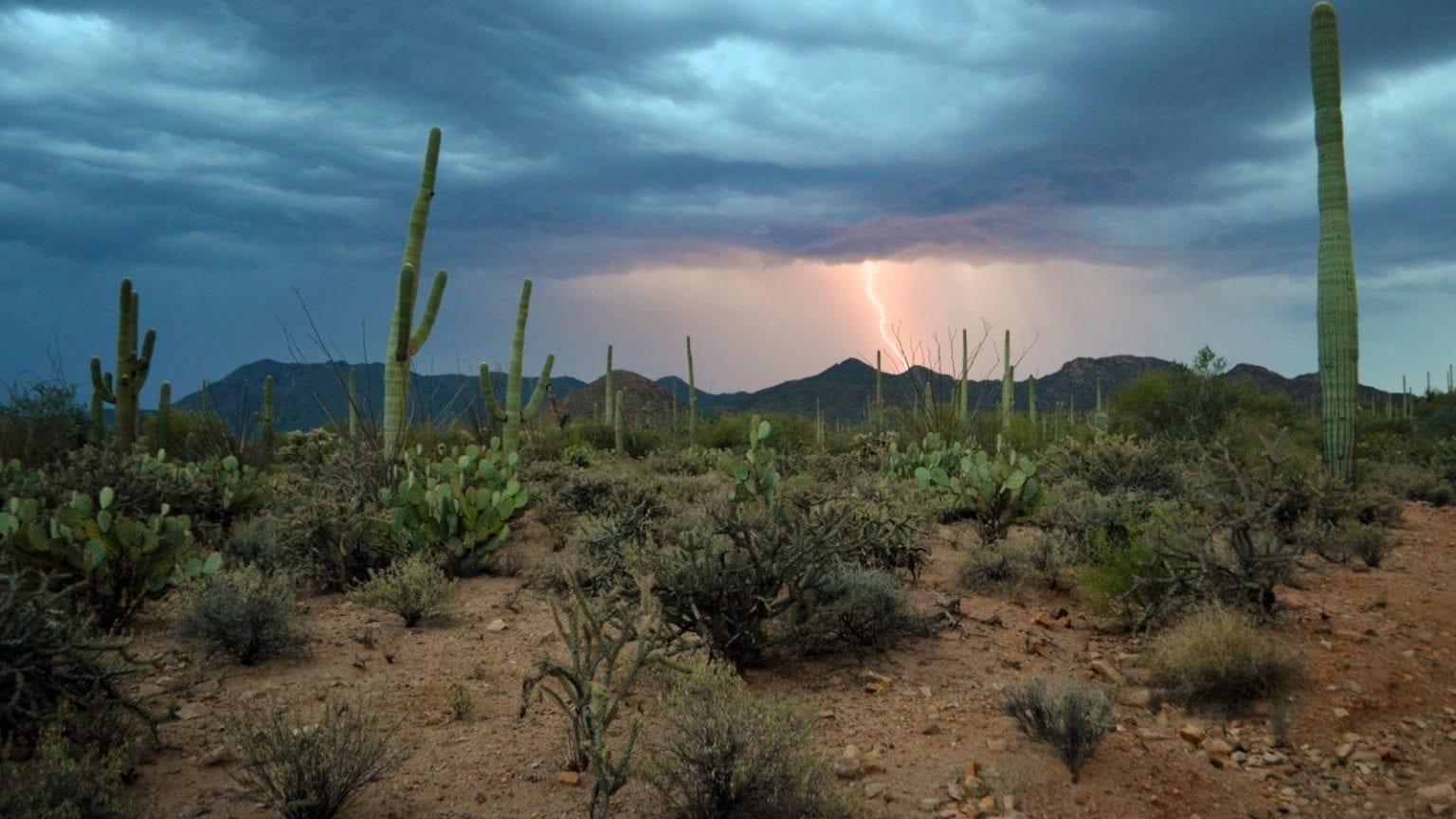 19 best national parks to visit in spring - FamilyVacationist