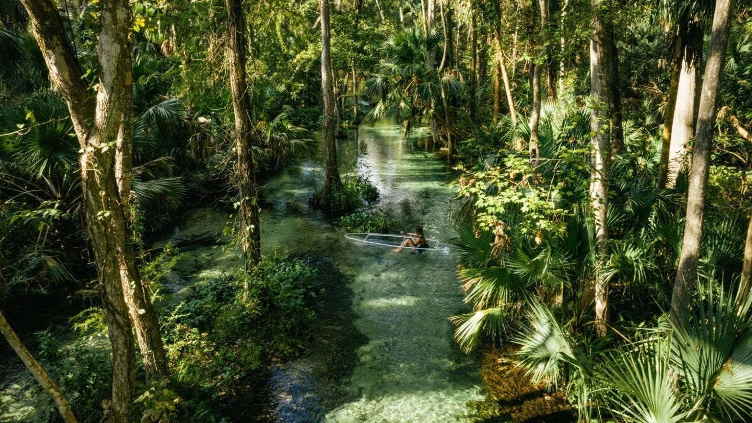 8 Florida attractions that are just as much fun as Disney and Universal ...