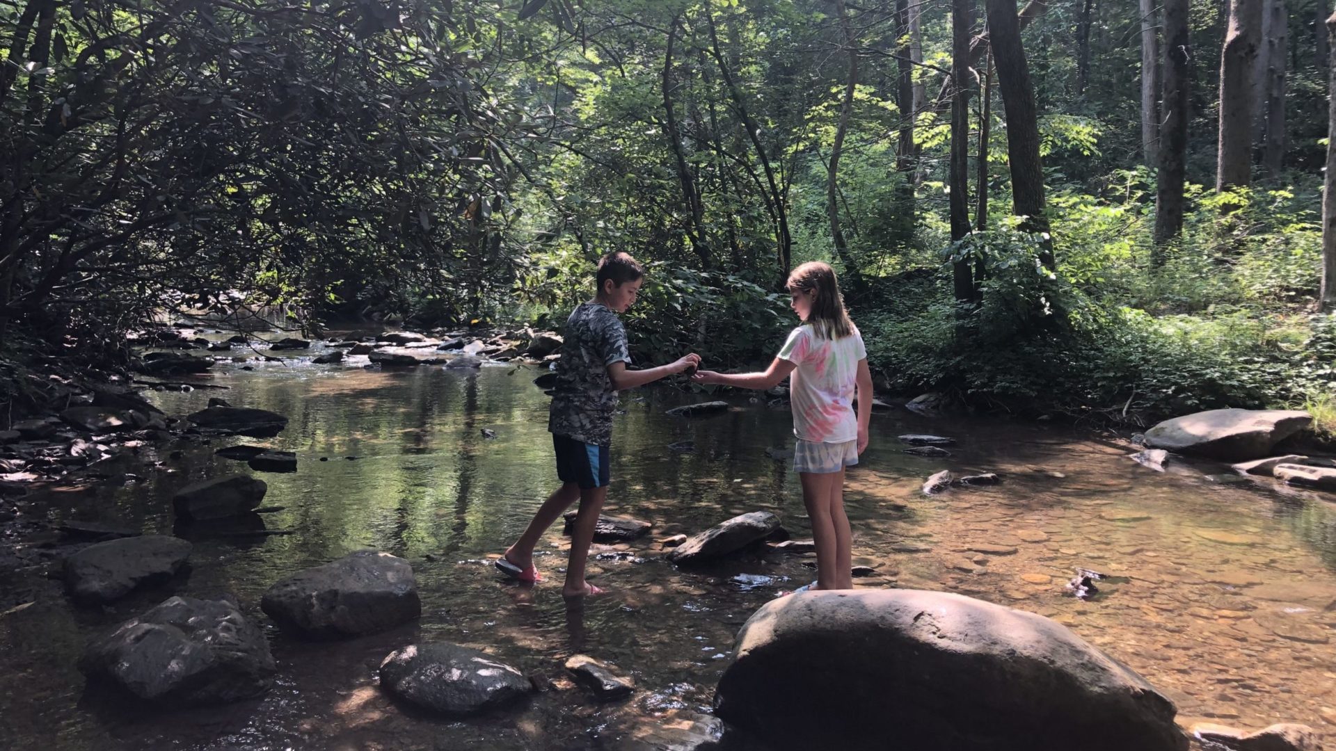 5 Incredibly Fun Things to Do in Asheville with Kids - FamilyVacationist