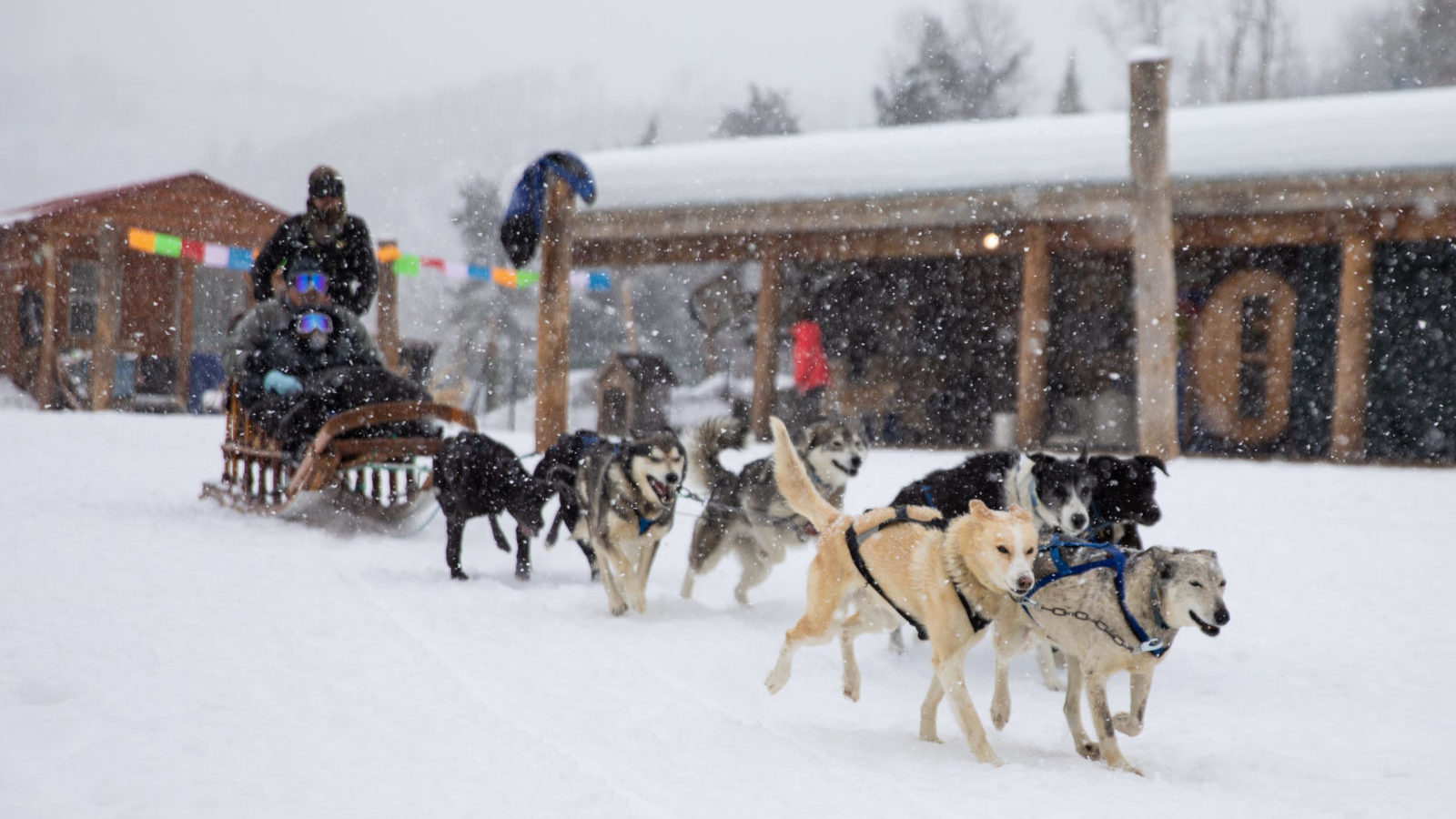Why the Western Slope Is Colorado's Undiscovered Winter Utopia ...