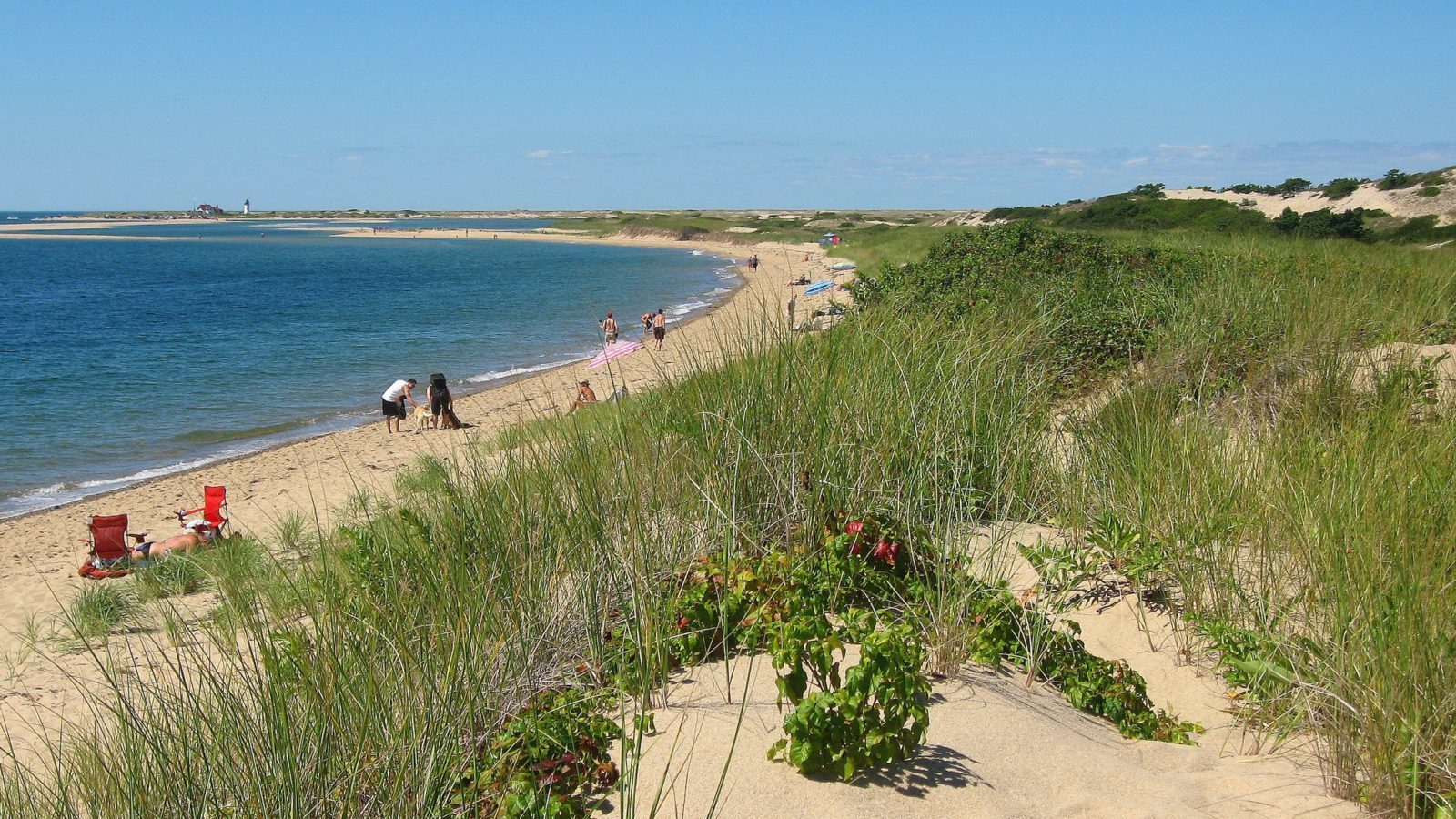 20 best New England beaches to visit with kids - FamilyVacationist