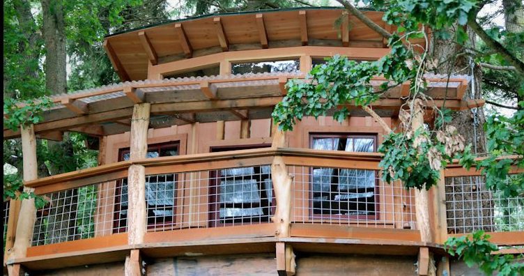 11 Best Treehouse Hotels in the U.S. and Canada (2023) - FamilyVacationist
