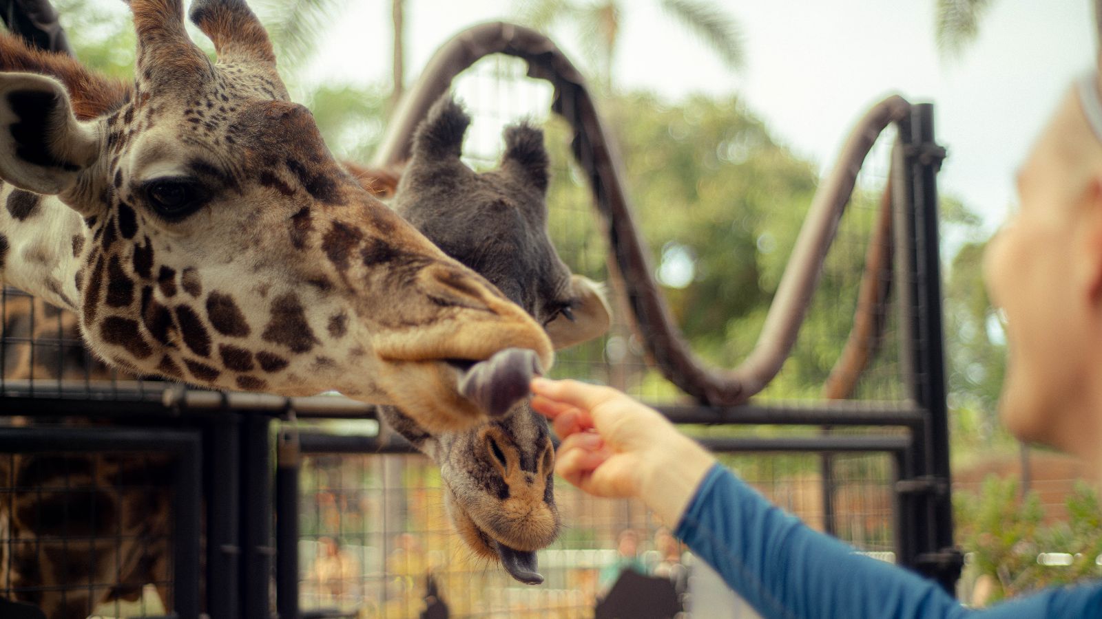 10 fun spring break destinations for families (2025) - FamilyVacationist