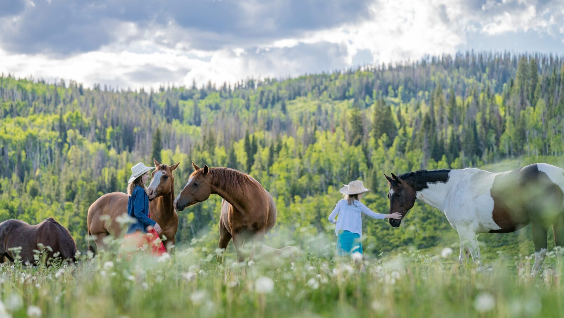 The 15 best all-inclusive resorts in the U.S. for families (2025 ...