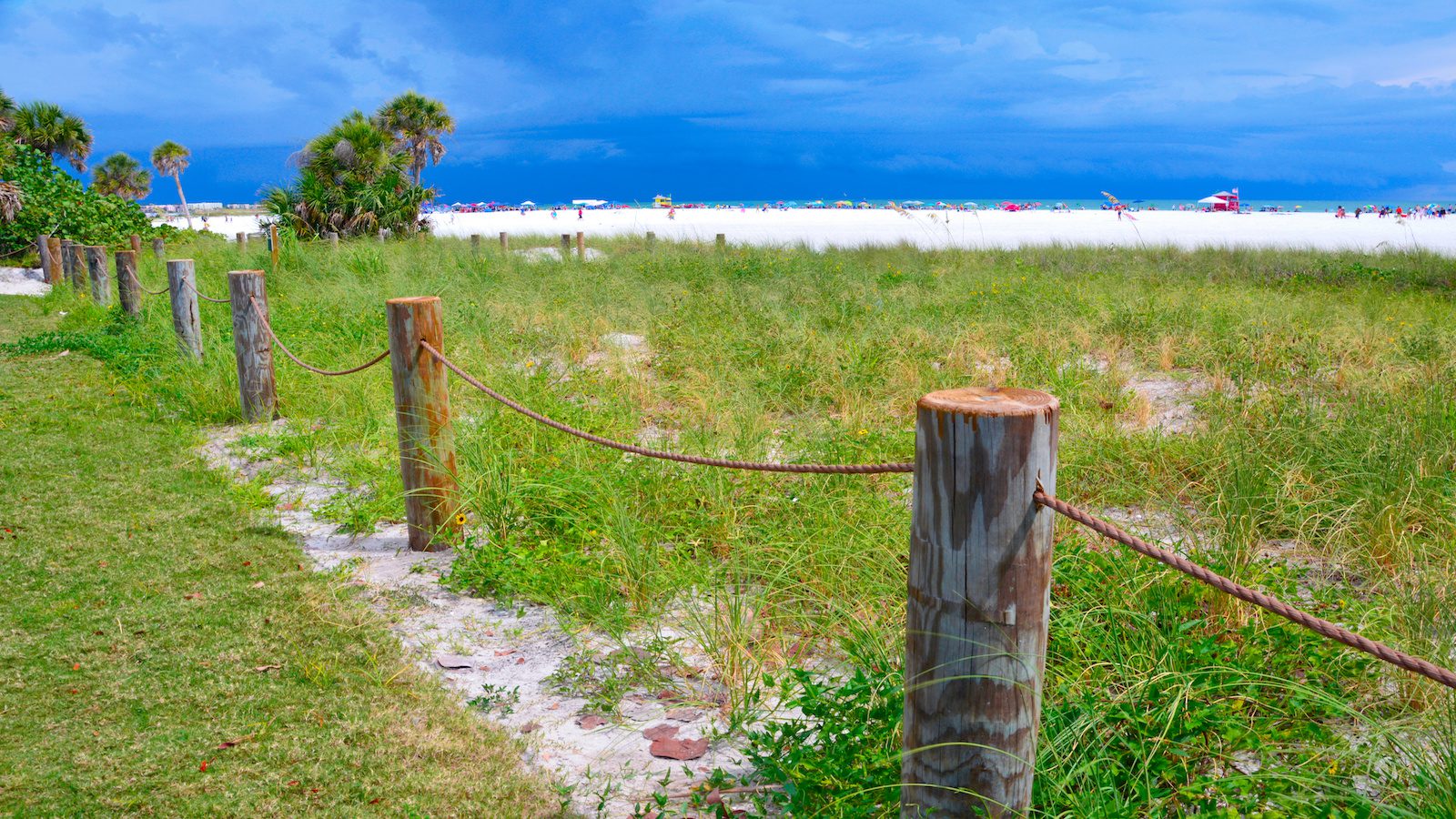 This Florida beach has the whitest sand thanks to ancient river flow ...