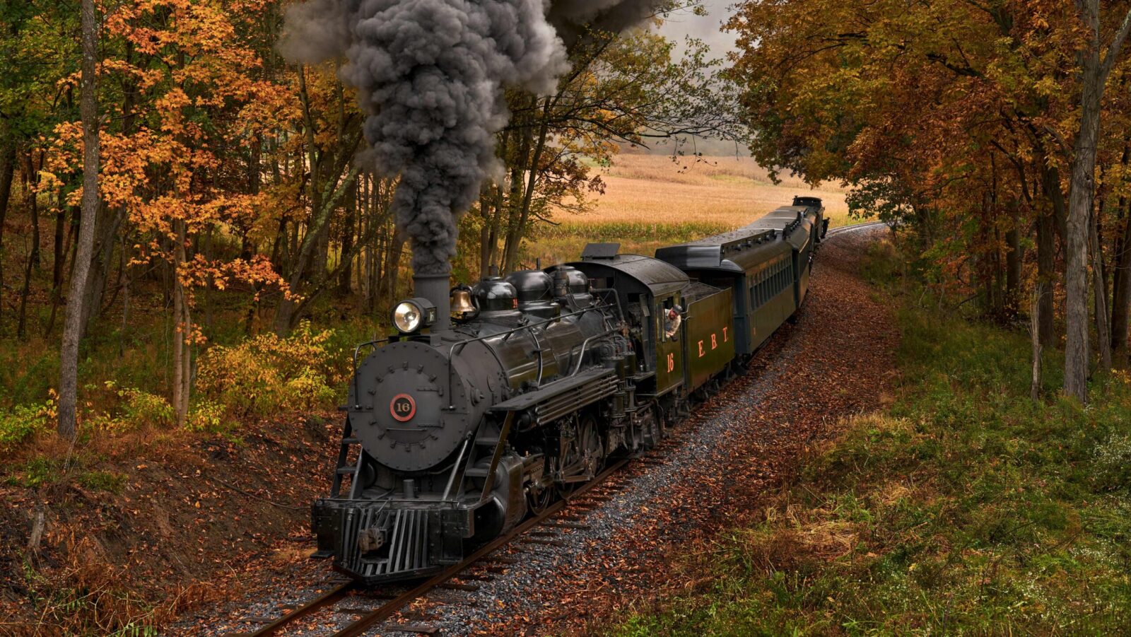 All aboard the 12 best fall foliage train rides in the U.S. - FamilyVacationist