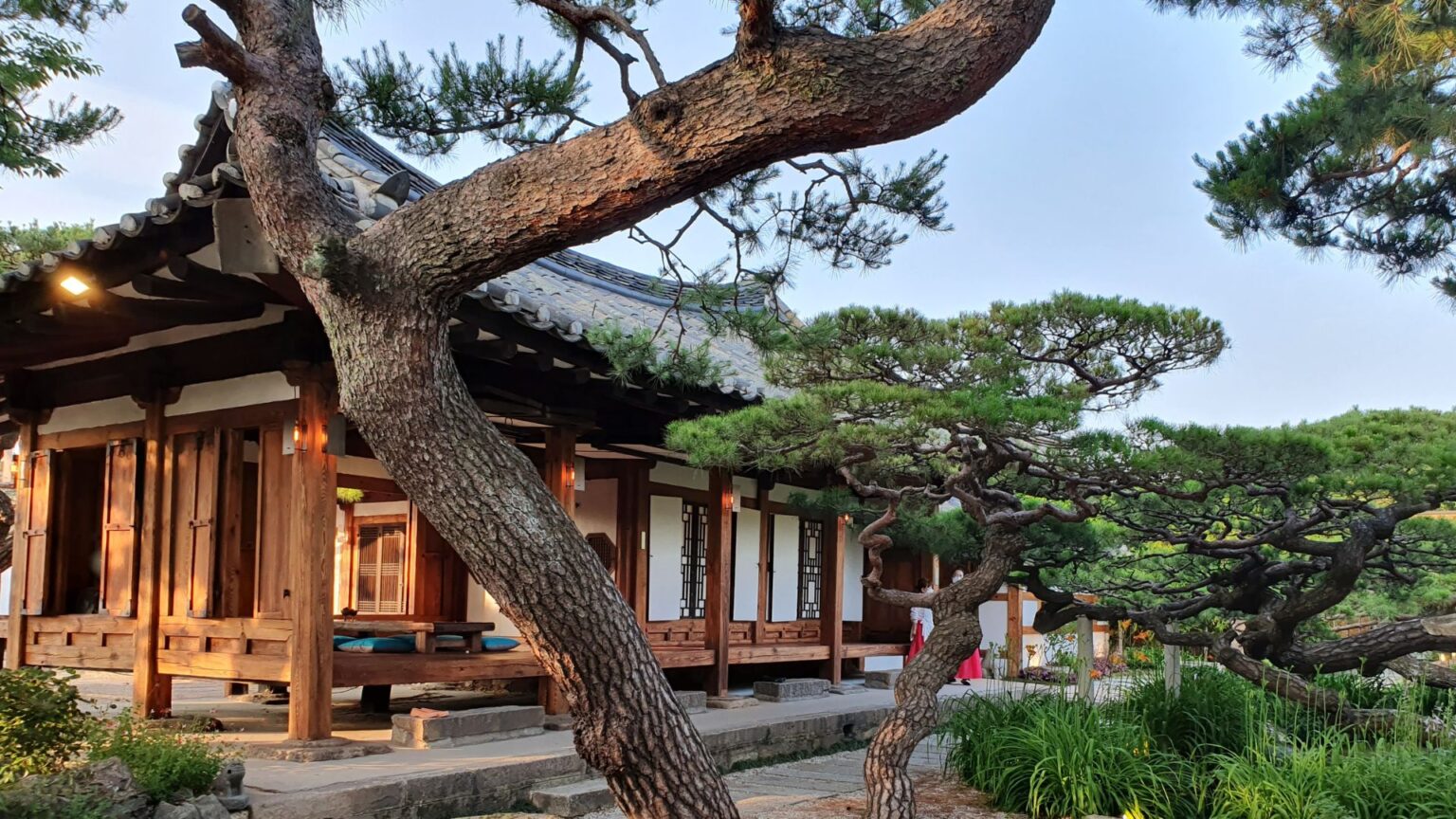 How a trip to South Korea helped me pass the travel baton to my teenage ...