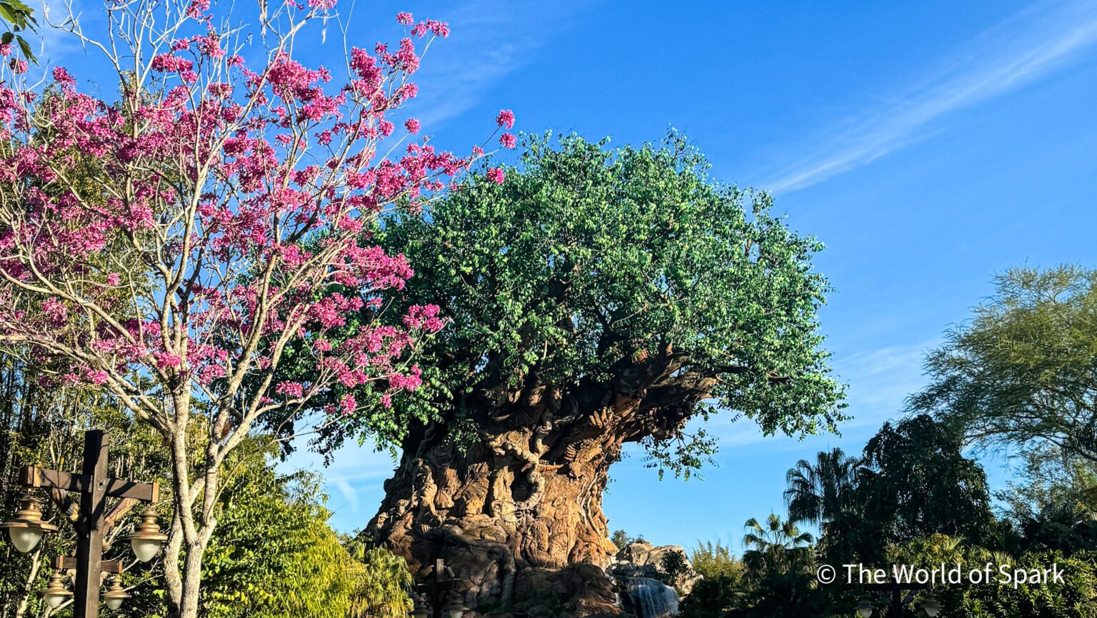 Ultimate guide to Disney World and Disneyland’s Lightning Lane Pass ...